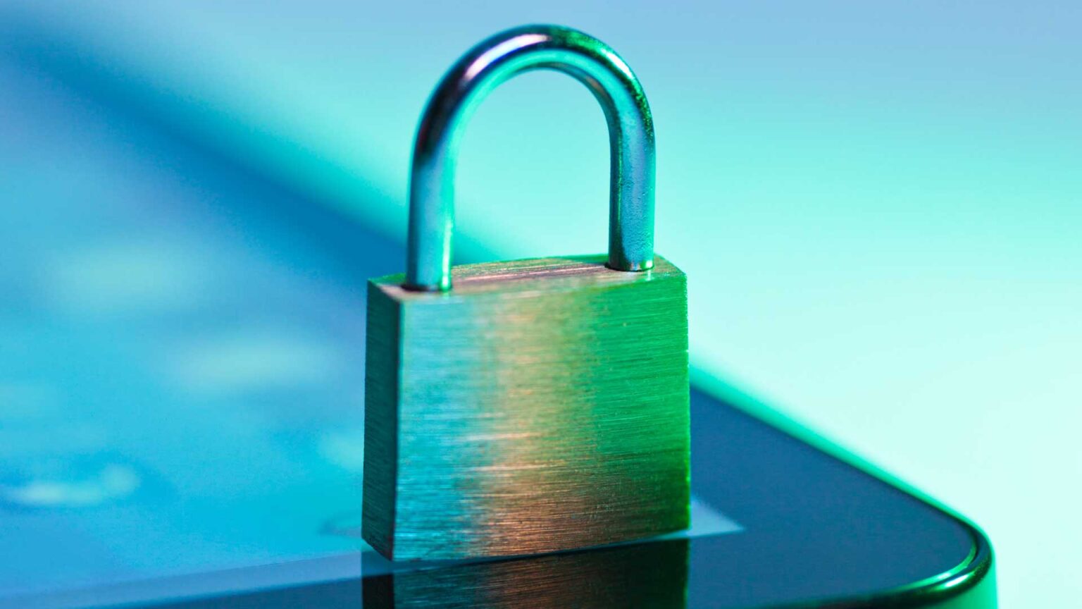 What is a Bank Verification Service?